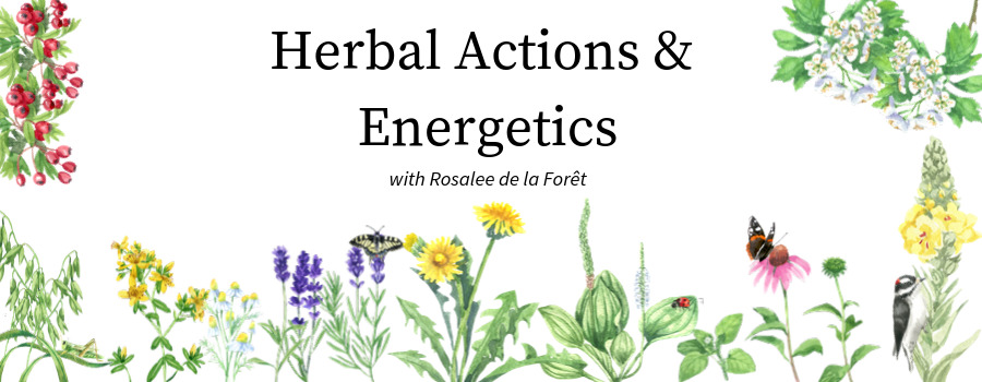 Herbal Energetics